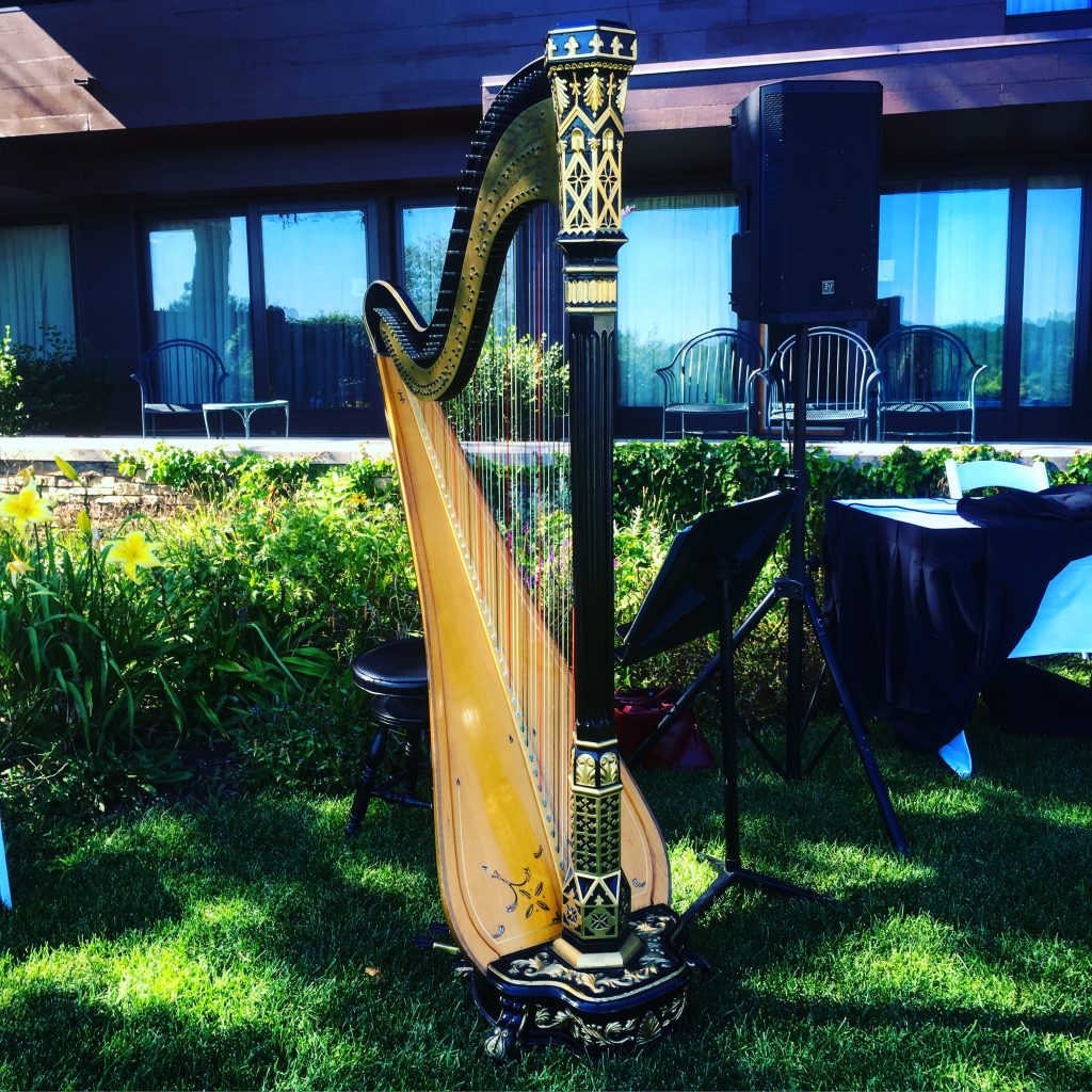 Gallery - Anne Morse Hambrock